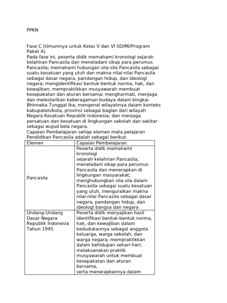 CP PPKN | PDF | Identity Politics | Political Movements