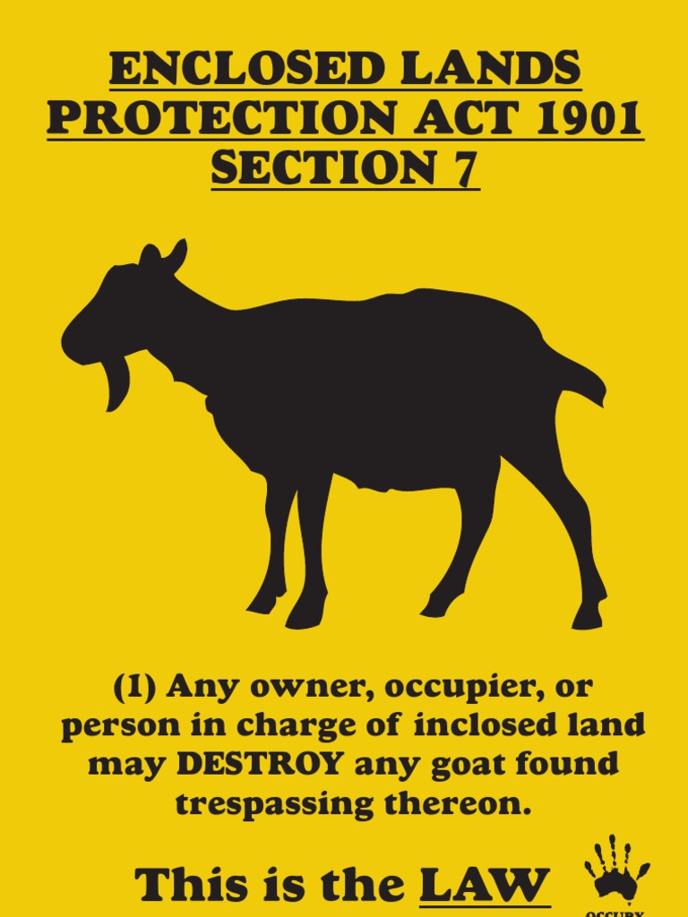 Goat | PDF