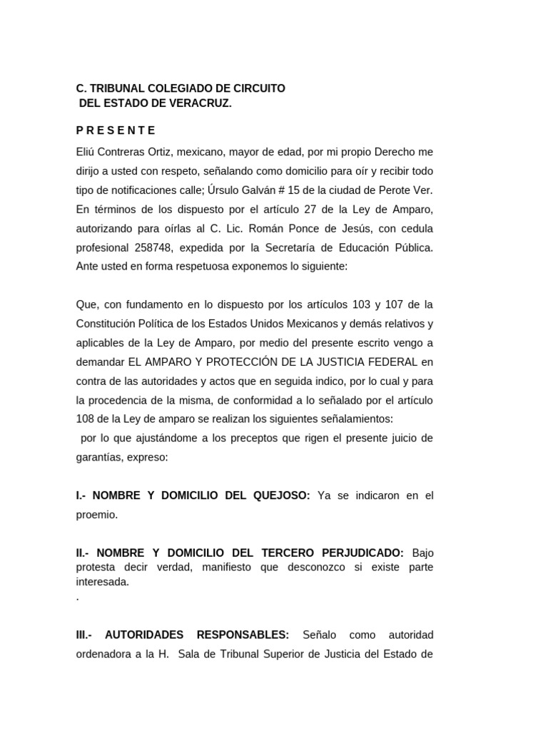 amparo-directo-pdf