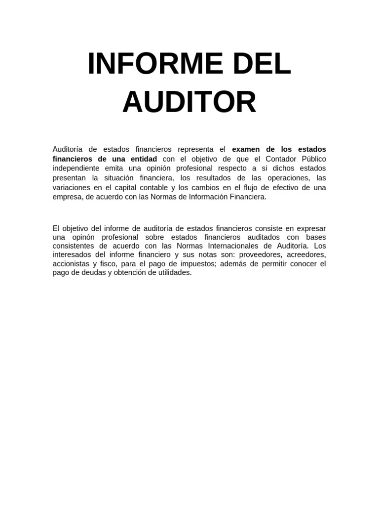 Informe Del Auditor | PDF