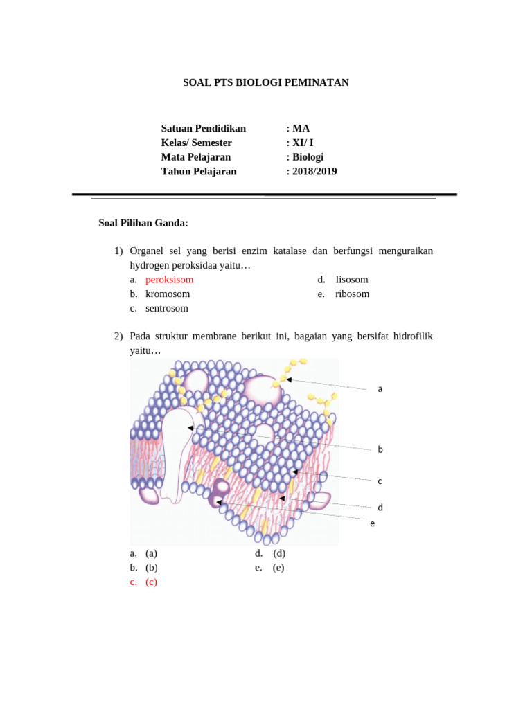 Soal PTS Biologi Kelas Xi | PDF