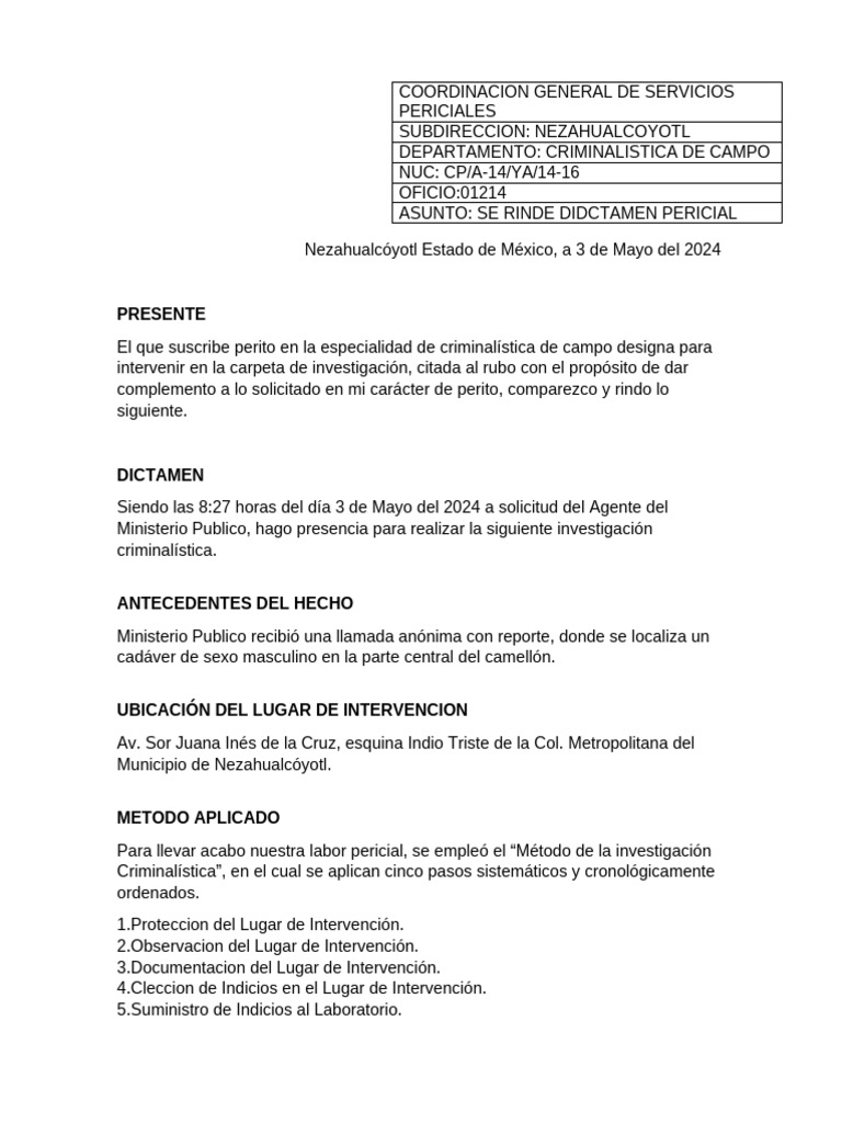 Dictamen Pericial Fotografia | PDF