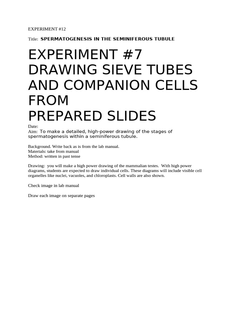 Drawing of MAMMALIAN TESTES | PDF | Testicle | Teaching Methods & Materials