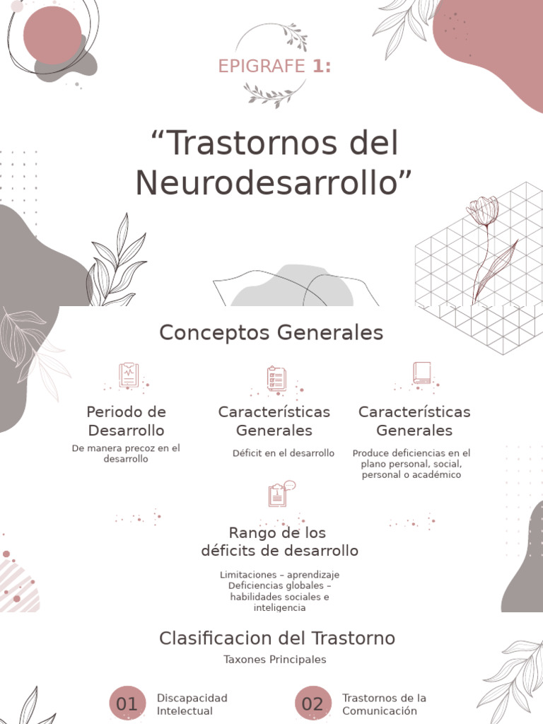 Trastornos Del Neurodesarrollo | PDF