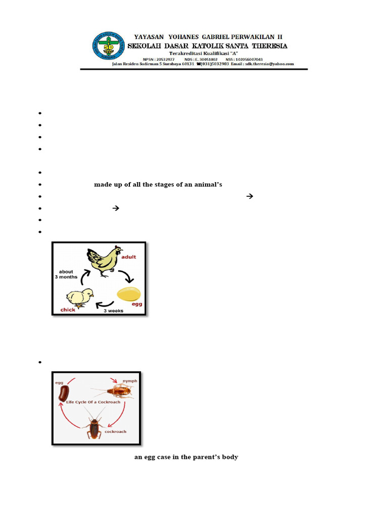 Science Chapter 1 | PDF