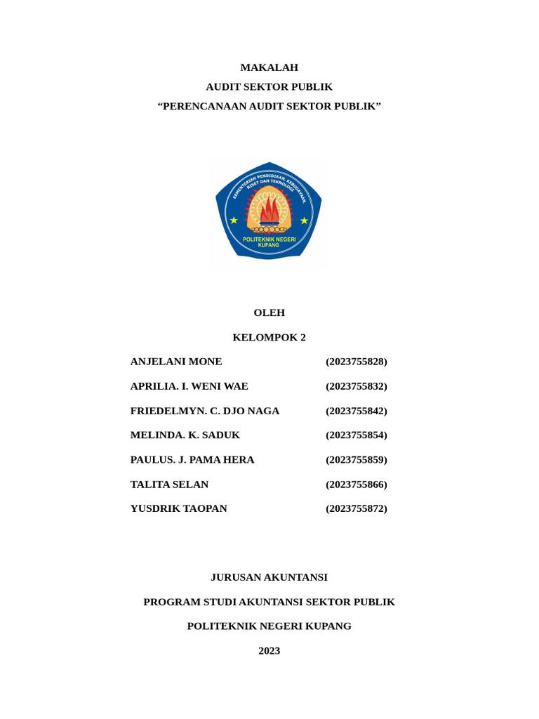 Makalah Audit Perencanaan Sektor Publik Kel-2 | PDF