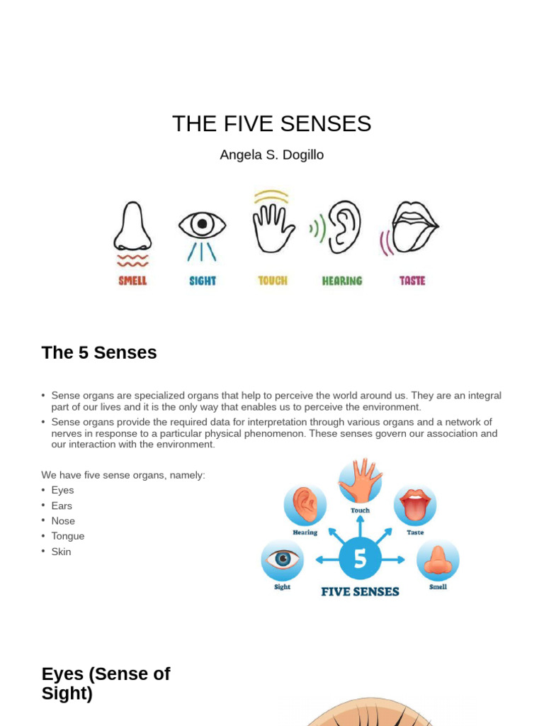 Five Senses | PDF