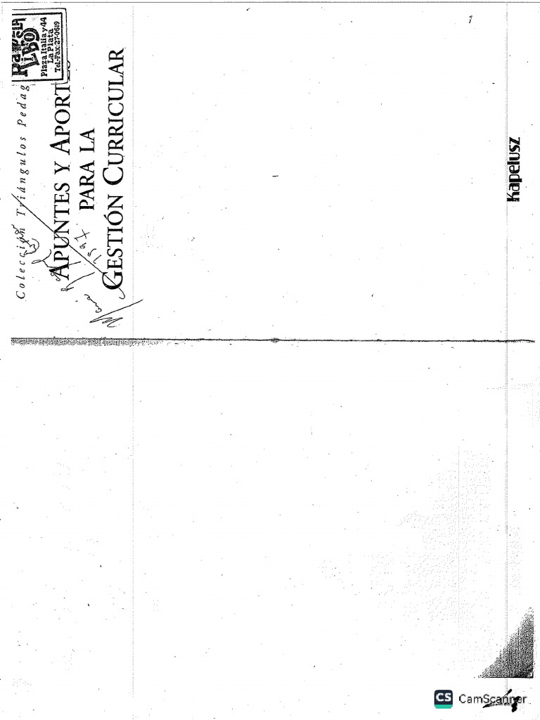 Salinas, Dino - Curriculum, Racionalidad y Discurso Político | PDF