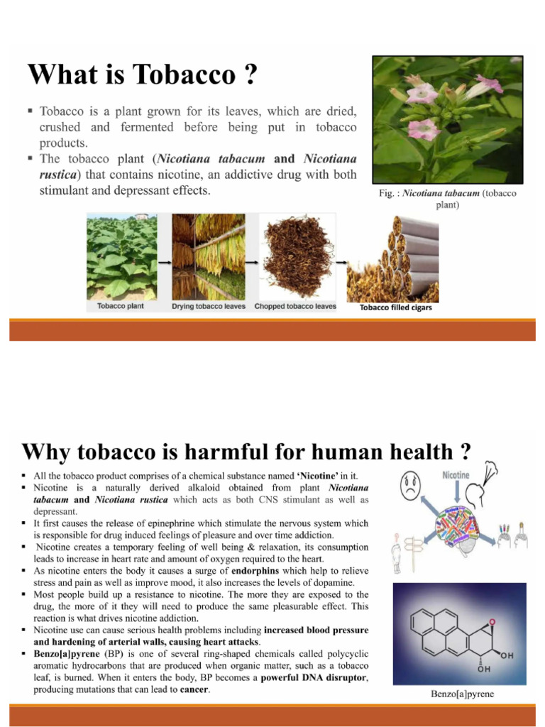 National Tobacco Control Programme NTCP PPTX 2 2048 | PDF