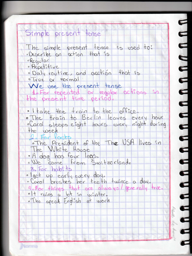 Simple Present Tense | PDF