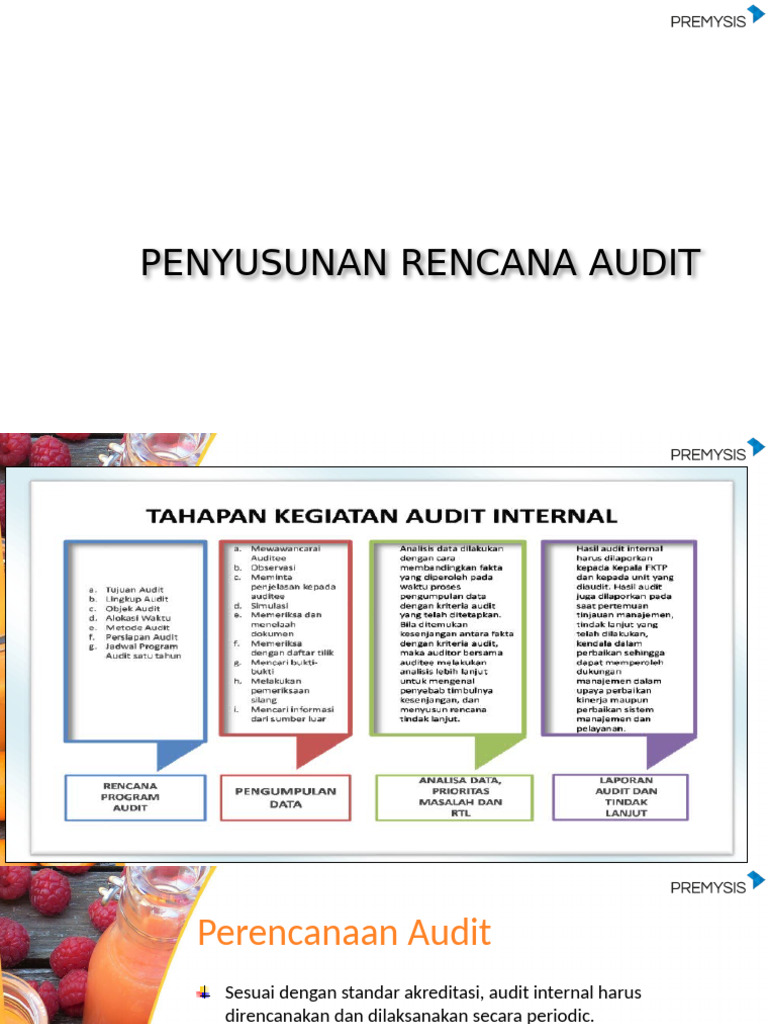Audit Plan Dan Instrumen Audit | PDF