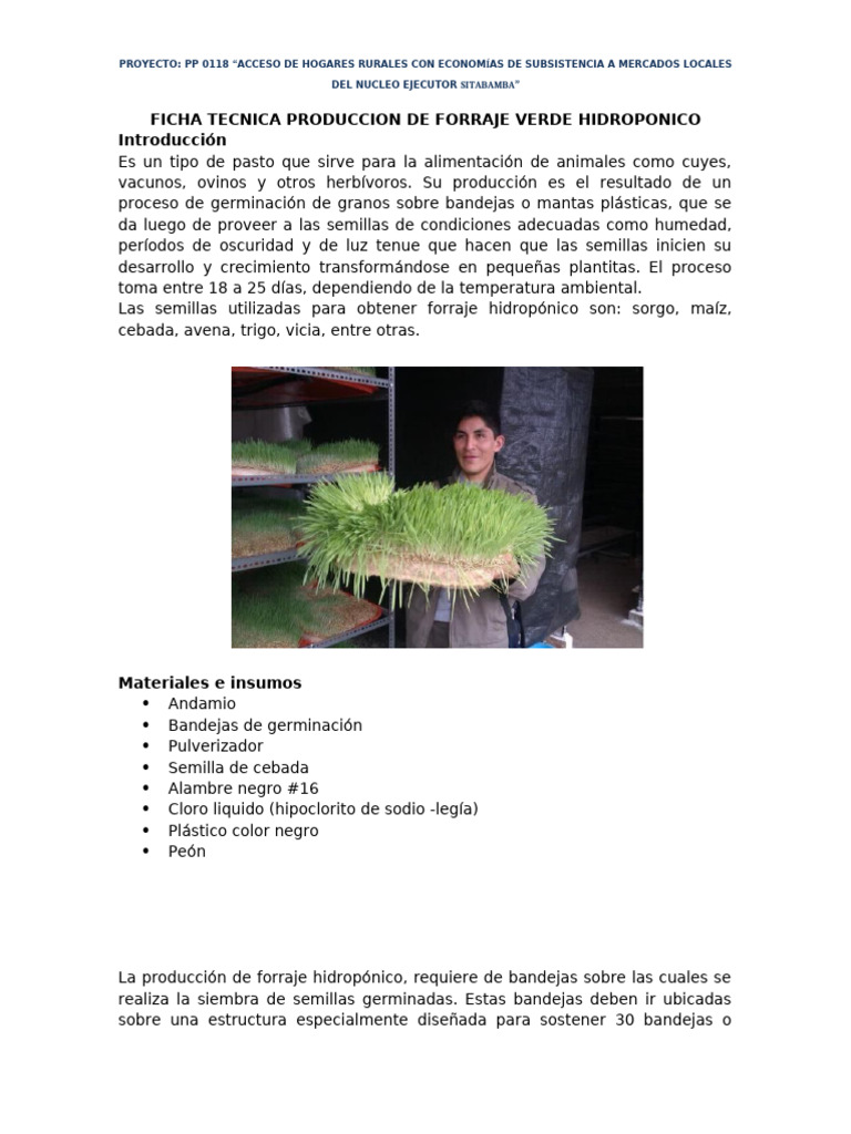Ficha Tecnica Forraje Hidroponico | PDF