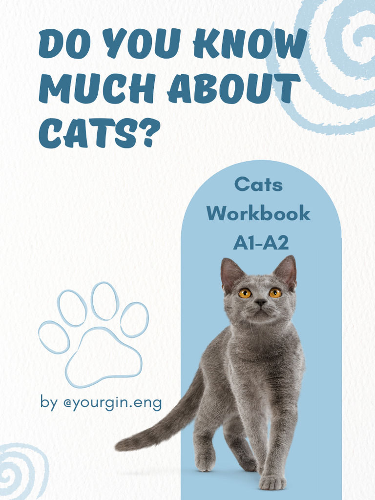 Cats Workbook | PDF