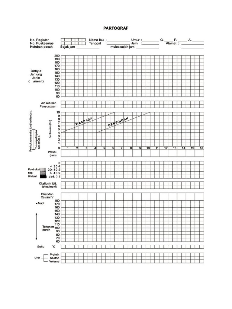 Partograf New | PDF