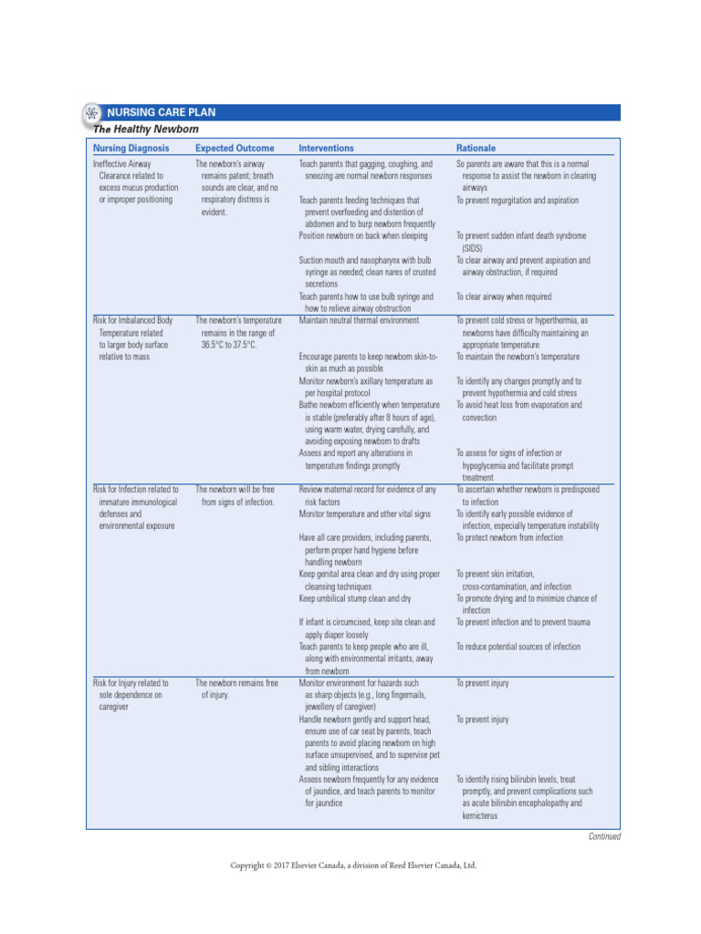 Nursing Careplan - The Healthy Newborn | PDF