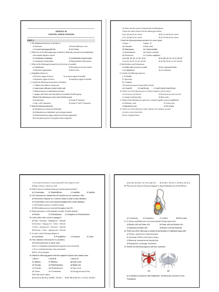 Zoology Worksheet - XI | PDF