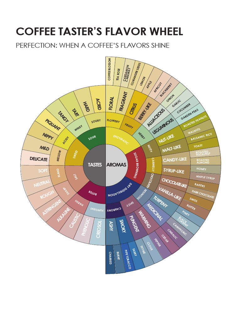 The-Old-SCA-Flavor-Wheel | PDF