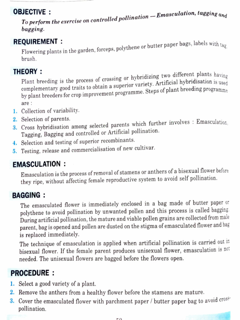 12 Biology Practical Sec B Ex. 6 Control Pollination Emusculation Tagging Bagging | PDF
