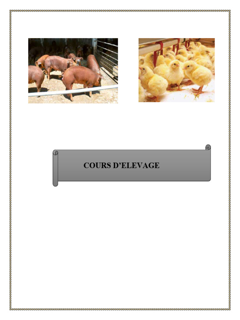 Cours d'Élevage : Aviculture et Techniques | PDF | Aviculture ...