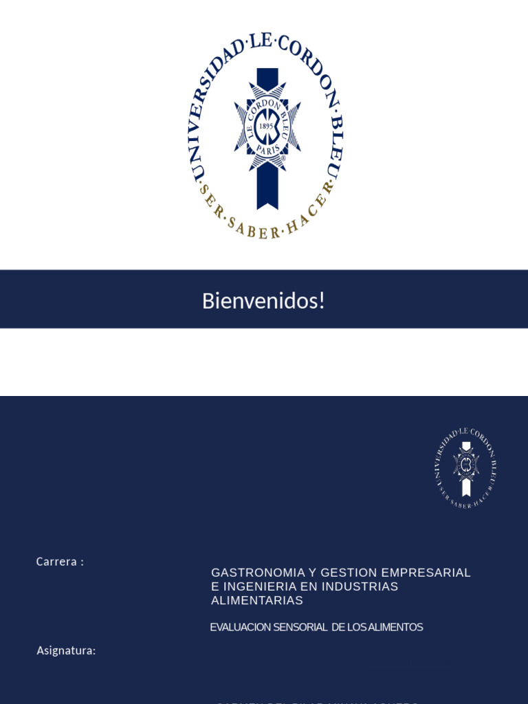 Programa Ev. Sensorial 1 2024 Ok | PDF