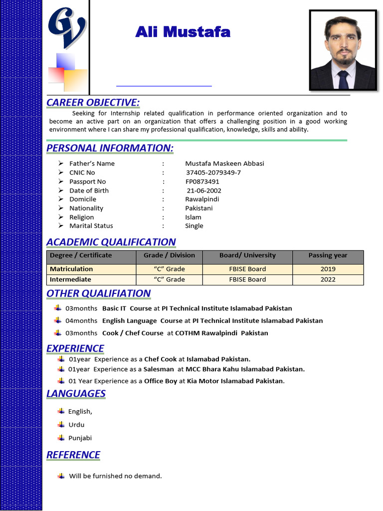 Ali Mustafa cv 2k24 | PDF