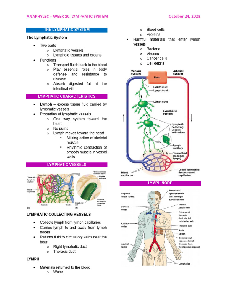 Week 10 - Lymphatic System | PDF