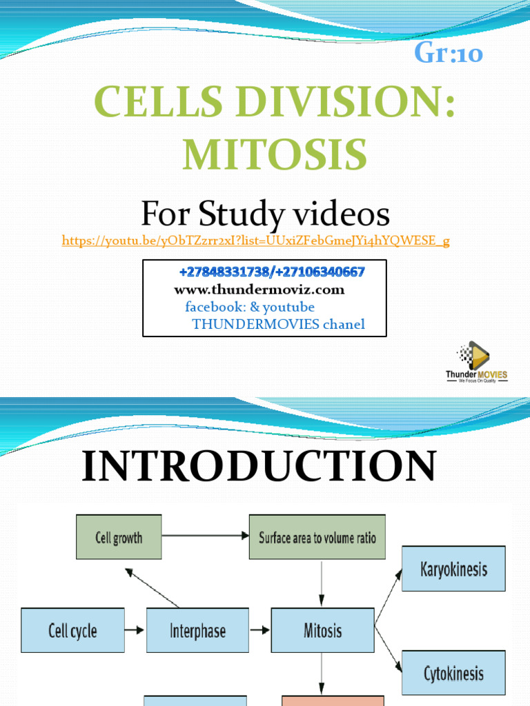 Cells Division | PDF