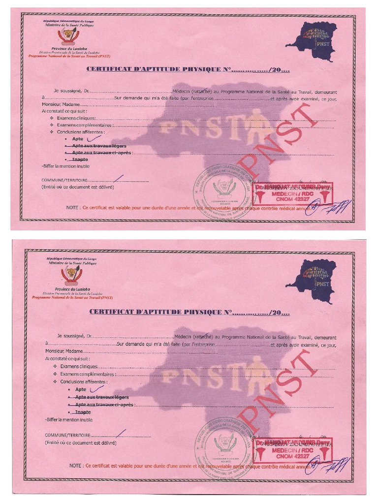 Aptitude Physique | PDF