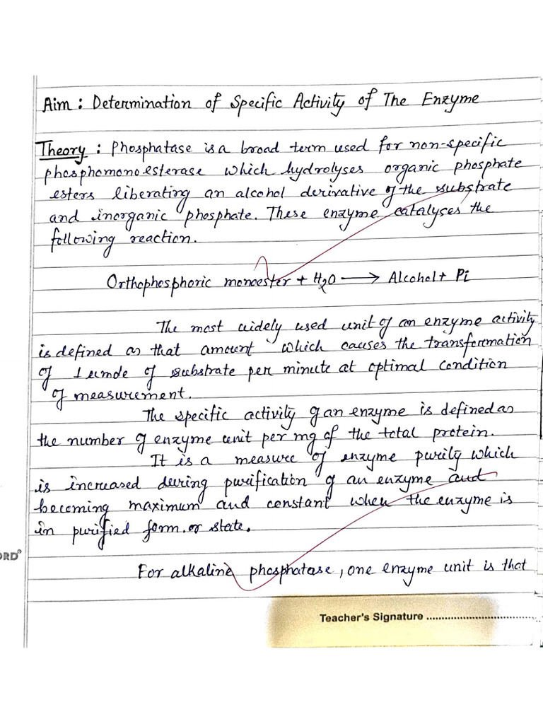 SEC Experiment Practical | PDF