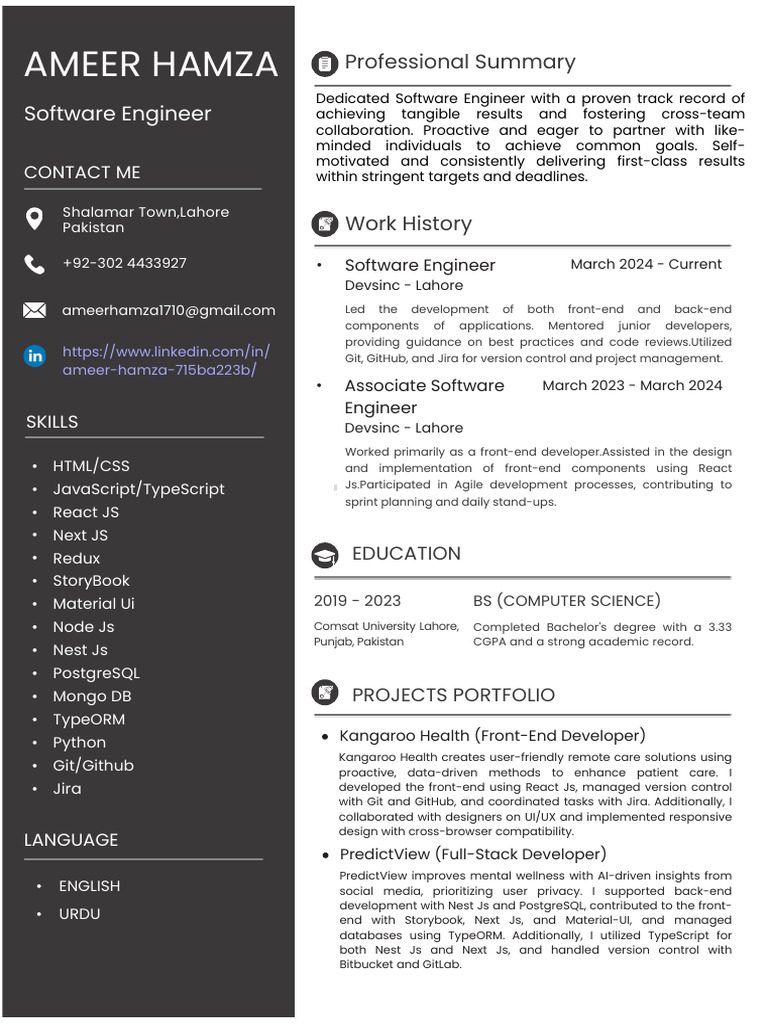 Ameer Hamza CV | PDF