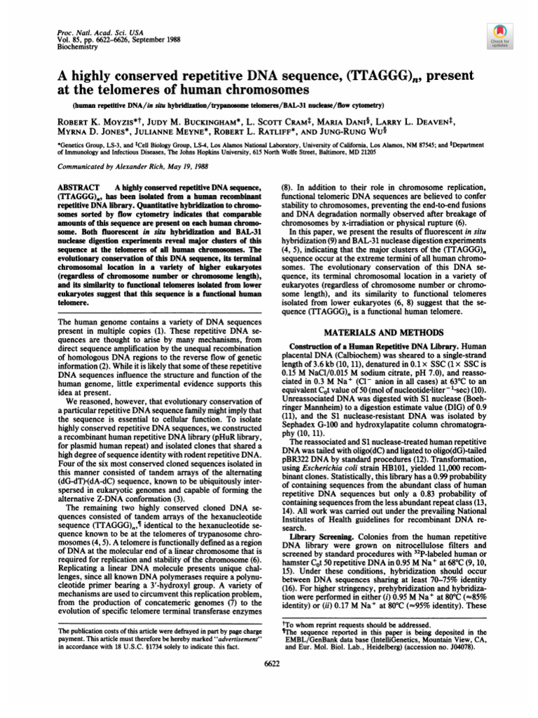 Moyzis Et Al 1988 A Highly Conserved Repetitive Dna Sequence (Ttaggg) N ...