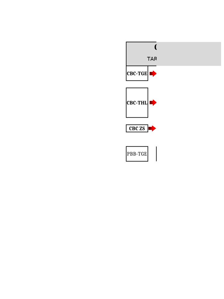 Check Issuance Guide | PDF