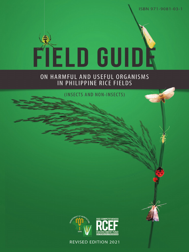 Field Guide - Harmful and Useful Organisms in Philippine Rice Fields ...