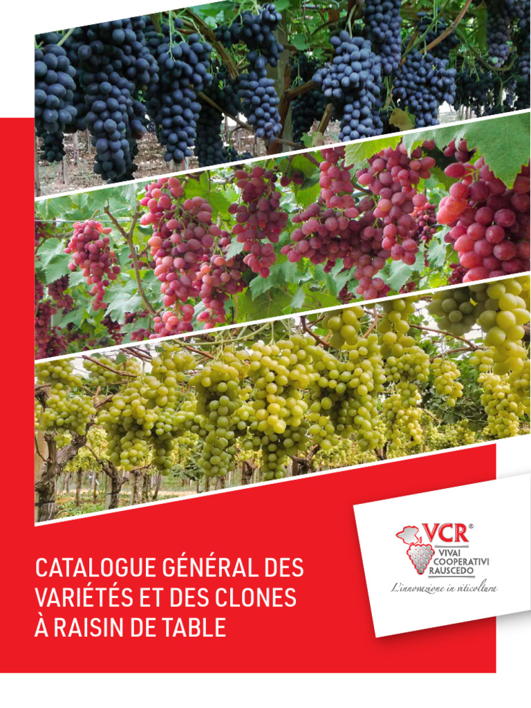 Catalogue Général Des Variétés de Raisin de Table | PDF