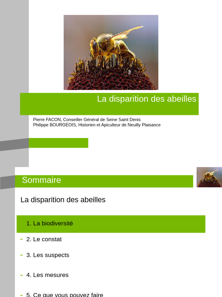 Abeilles | PDF