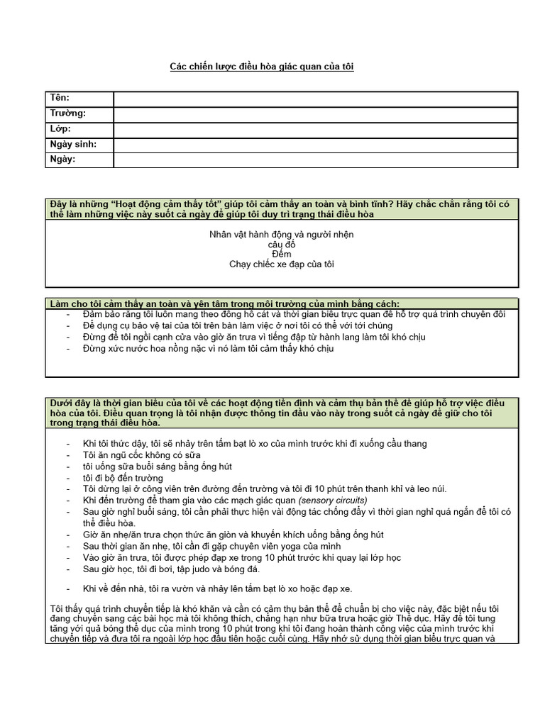 example-of-sensory-regulation-strategies-vn-pdf