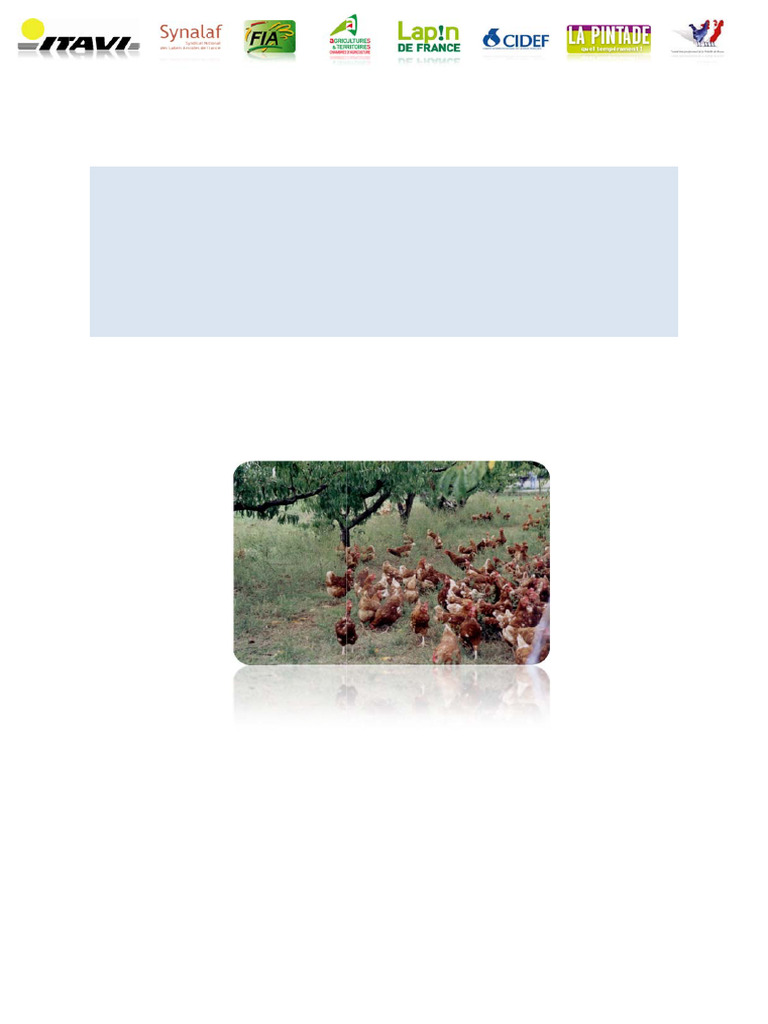 GBPH Petits Abattoirs Sans Decoupe | PDF