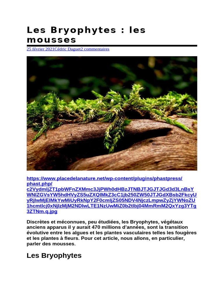 Les Bryophytes | PDF Les Bryophytes | PDF
