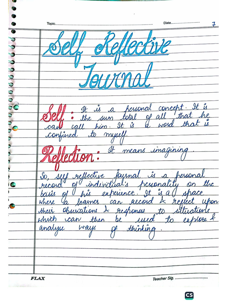 Self Reflective Journal | PDF