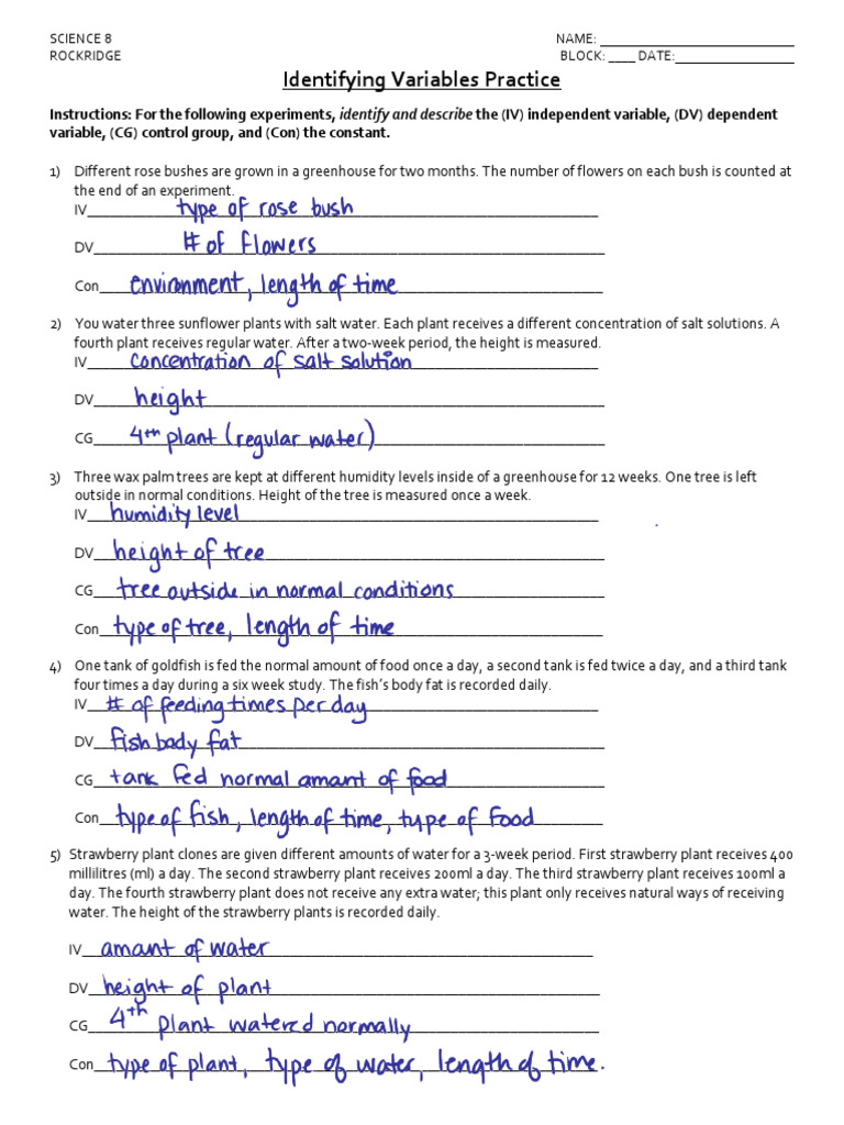 Identifying Variables Practice Worksheet | PDF | Plants | Science ...
