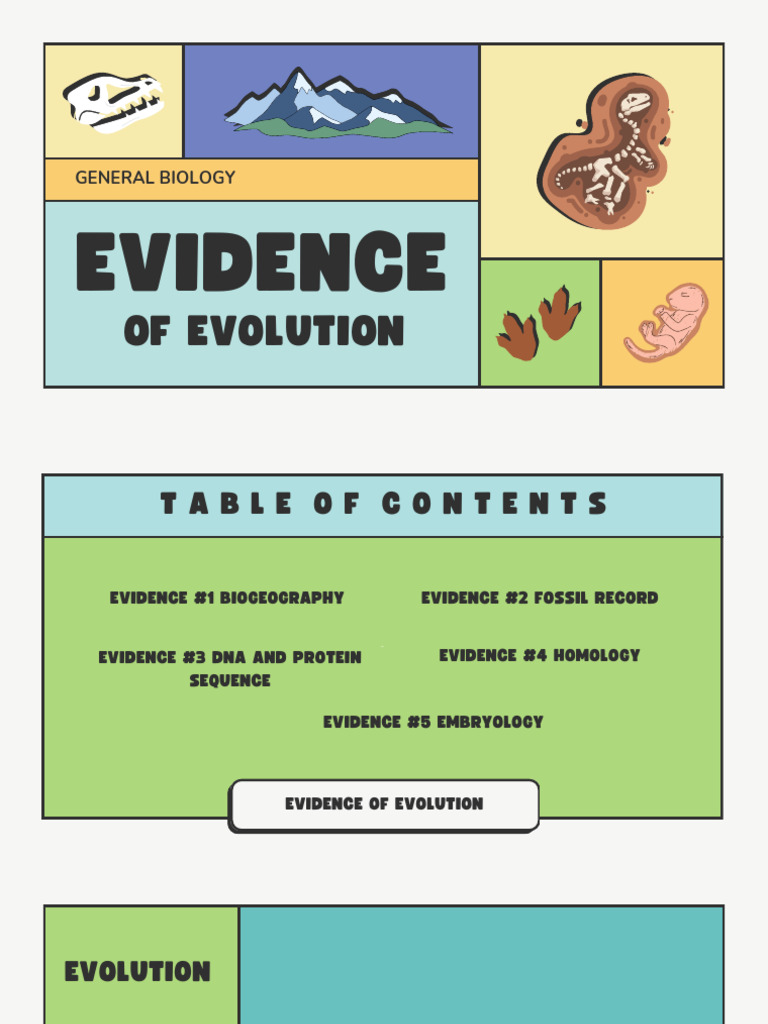 Evidence of Evolution | PDF