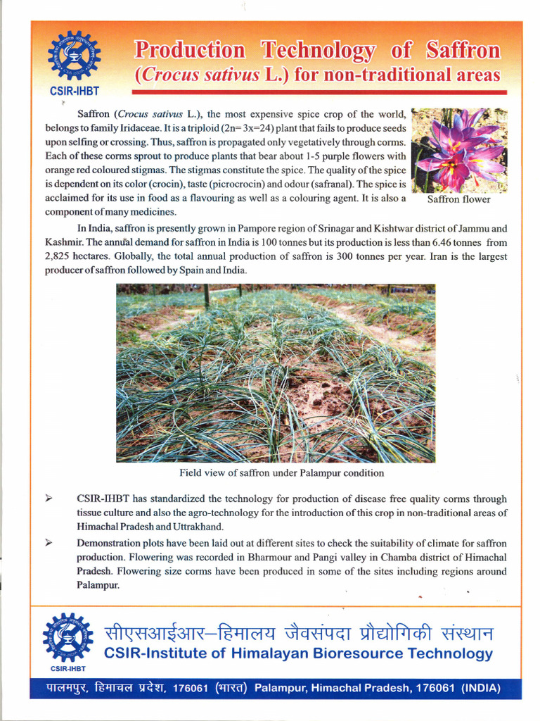 Production Technology of Saffron | PDF