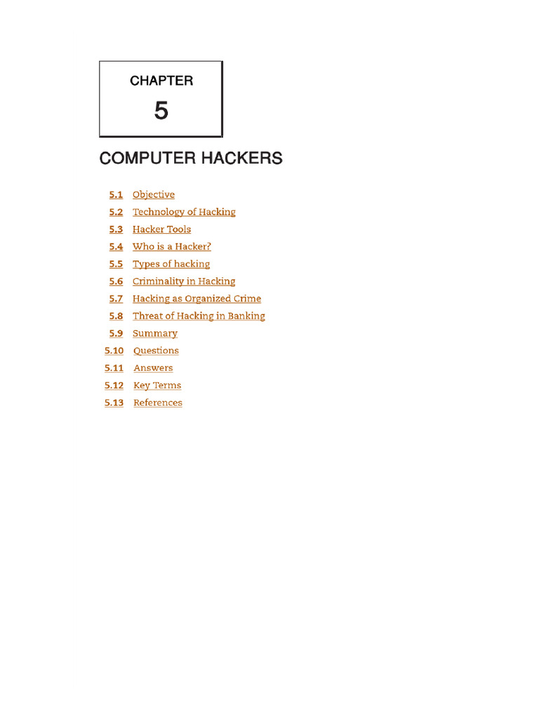 Chapter 5 - Computer Hackers | PDF
