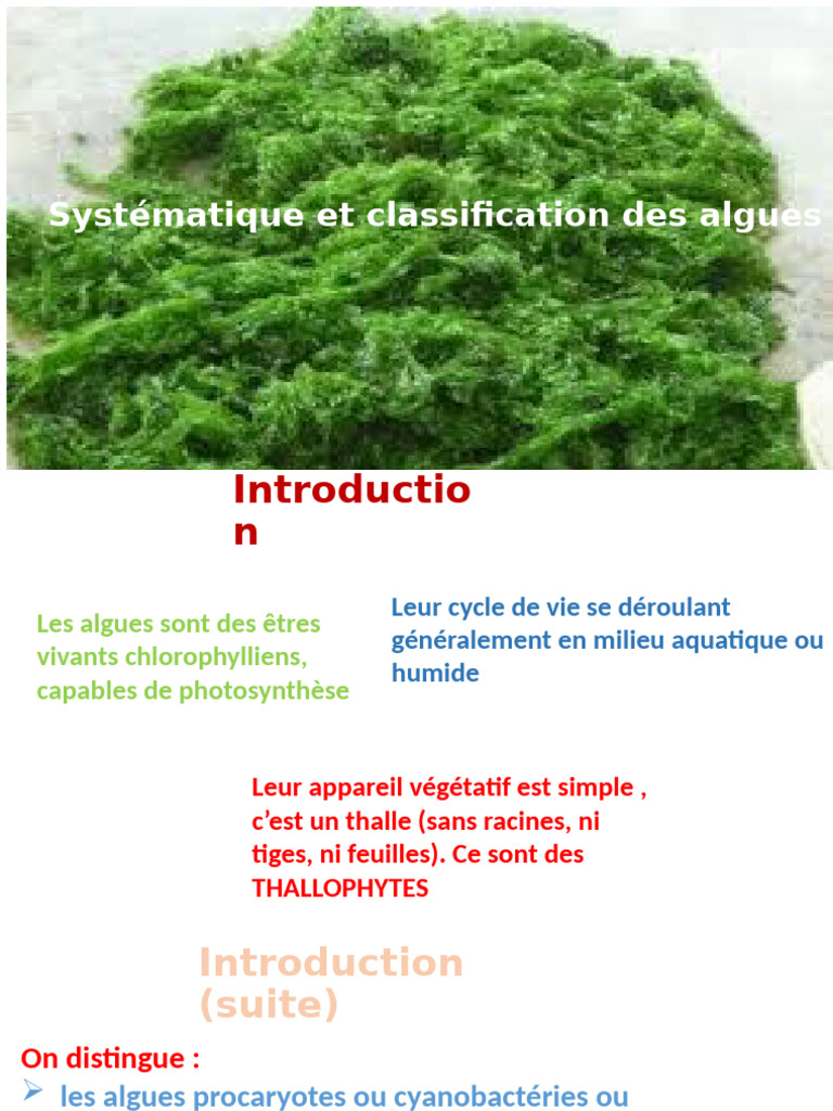 Biologie Et Systématique Des Algues | PDF