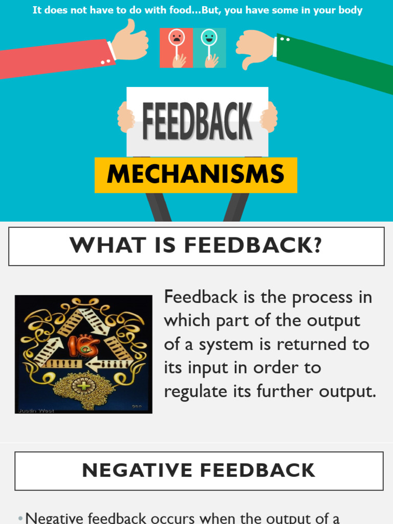 Module 6 Feedback Lecture | PDF