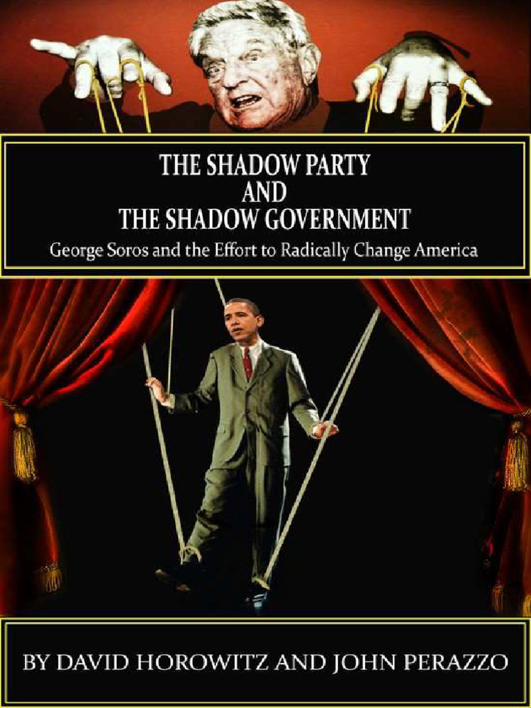 From Shadow Party To Shadow Gov (Unknown) (Z-Library) | PDF
