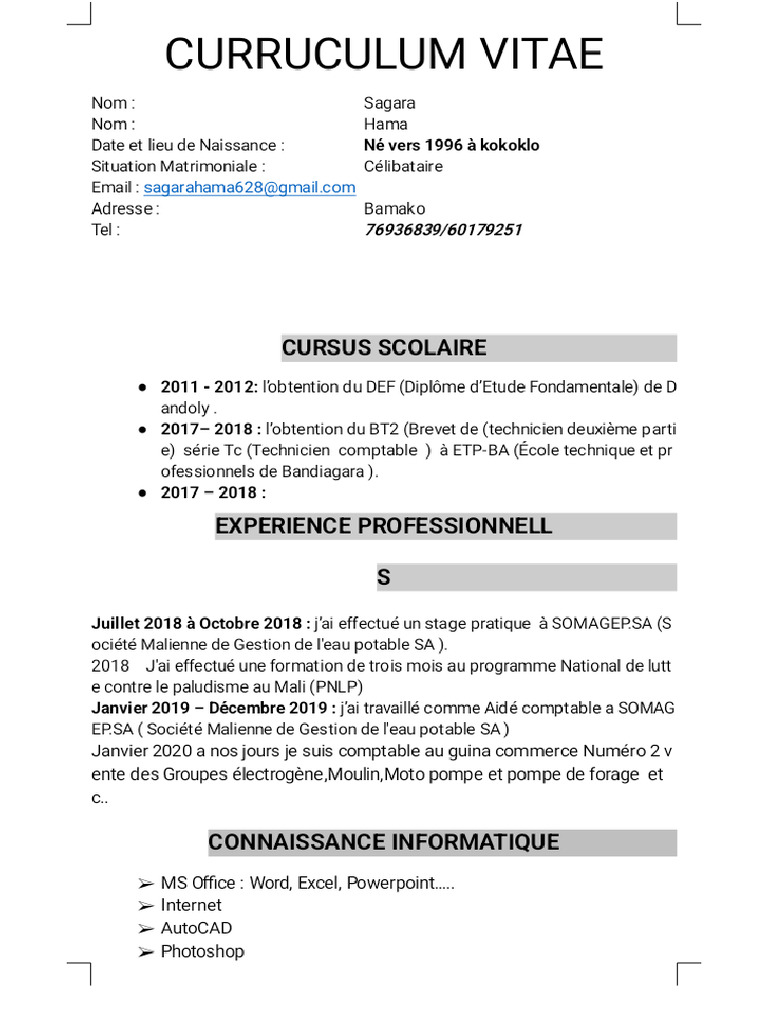 CV Hama Phoenix | PDF