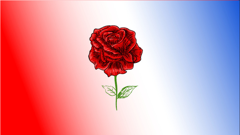 Rose | PDF