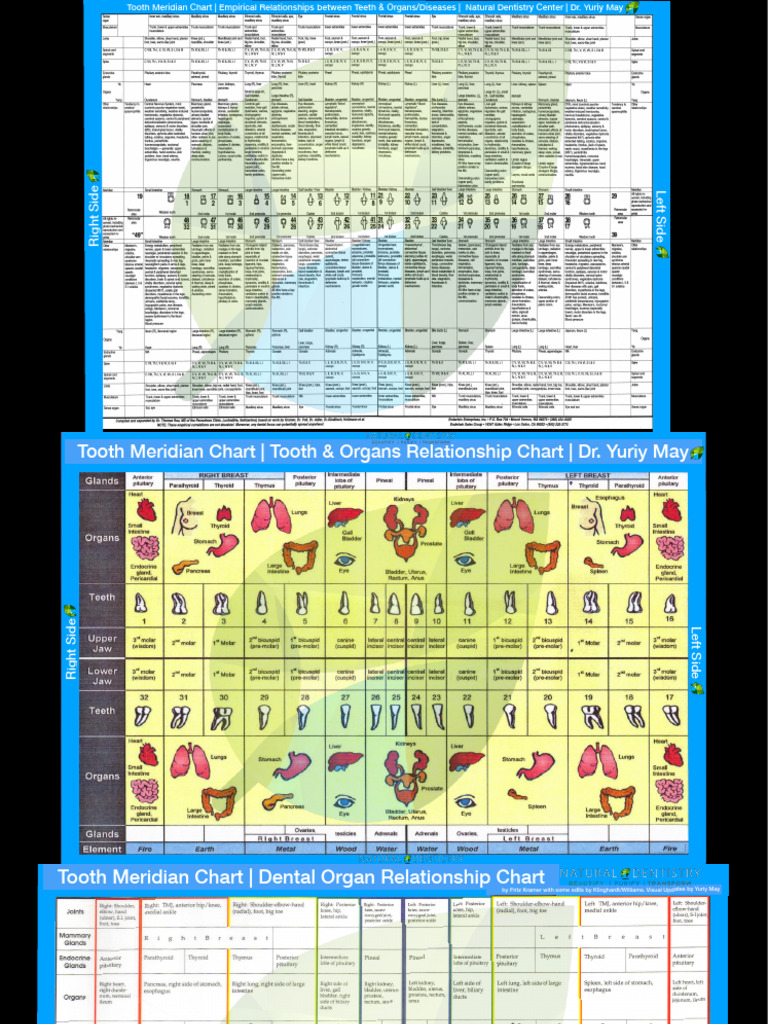 Dr. May Meridian Tooth Chart - Top Holistic Dentist USA - Natural ...