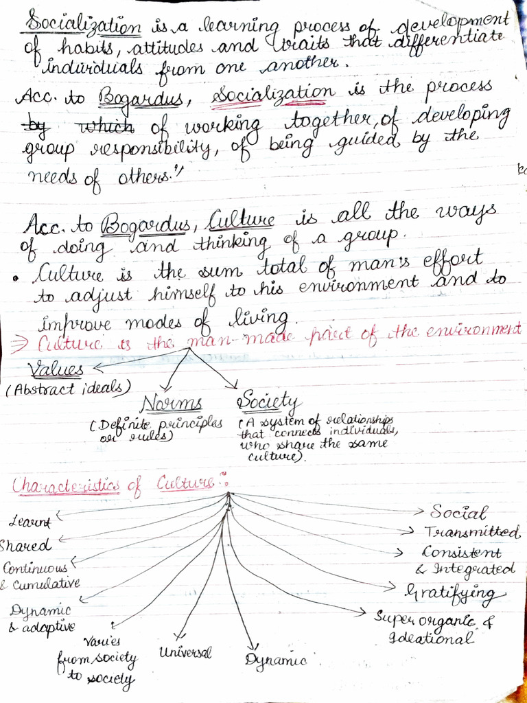 Sociology Notes | PDF